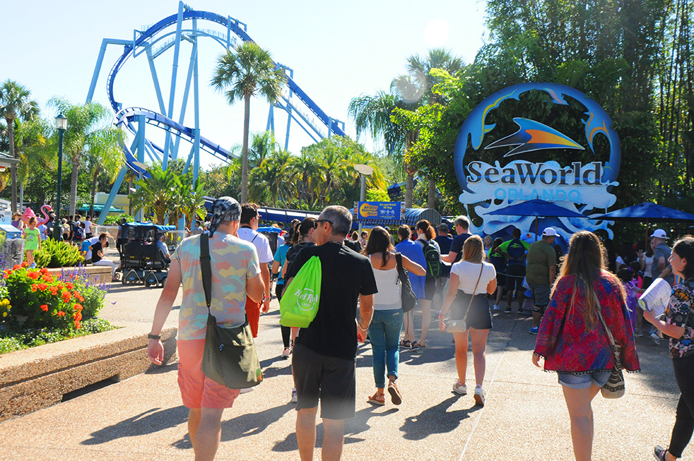 Após recorde, SeaWorld registra 1 milhão de visitantes a menos no 1º ...