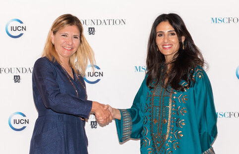 MSC Foundation e IUCN firmam parceria para conservação da fauna marinha