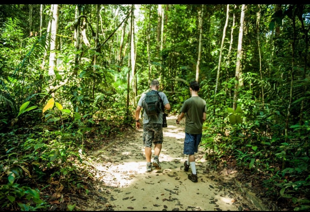 Dia Mundial do Ecoturismo: Amazonastur destaca turismo aliado ao meio ambiente - M&E | Mercado e ...
