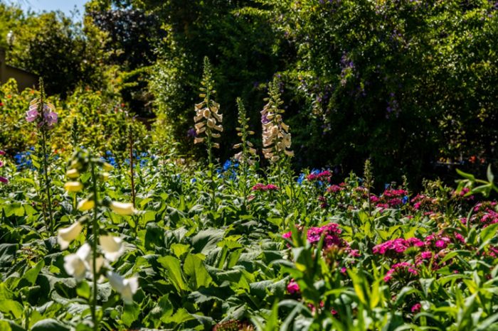 Flórida divulga calendário de eventos da primavera